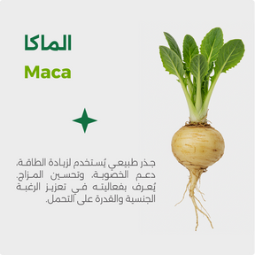 Viherbs | Osogold Booster Testostérone et Fertilité Naturellement